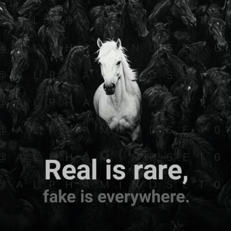 Masoma Nazari (@m.nazari509512) | Snapchat Stories, Spotlight & Lenses