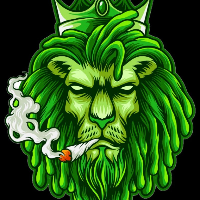 Mad Cloud (@mad_cloud24) | Snapchat Stories, Spotlight & Lenses