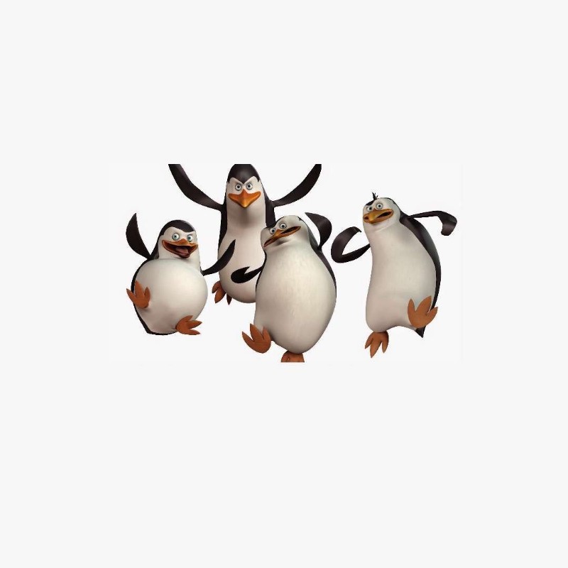 Madagascar Penguins (@madagascarpen) | Snapchat Stories, Spotlight & Lenses