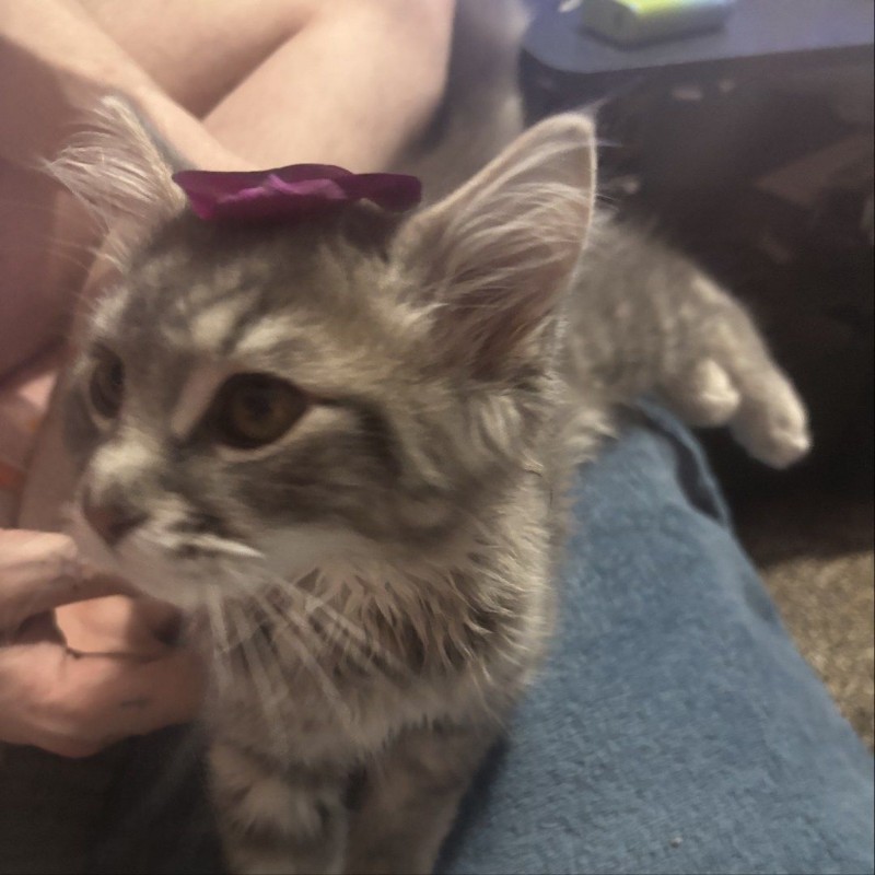 Madi 💕 (@madmadi616) | Snapchat Stories, Spotlight & Lenses