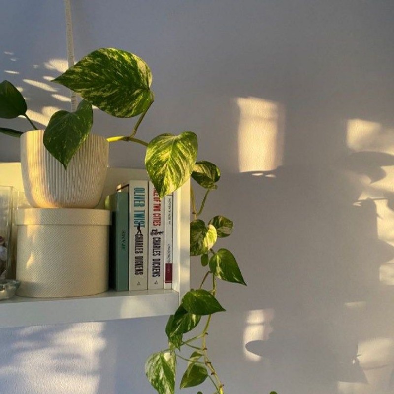 s.a 🤍🕊 (@magic.0) | Snapchat Stories, Spotlight & Lenses