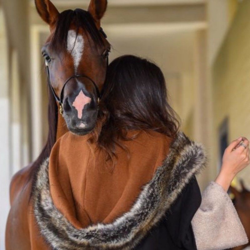 🎖ABAYA 🇸🇦الــمـهــره🐎 (@maharah.1) | Snapchat Stories, Spotlight & Lenses