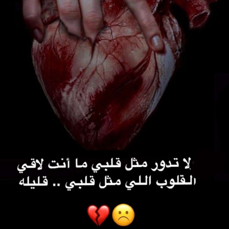 majnon_f2019 (@majnon_f2019) | Snapchat Stories, Spotlight & Lenses