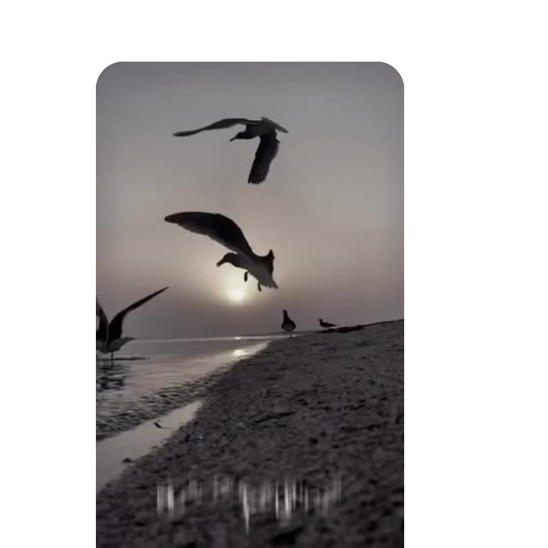 👑Manal Mousa👑 (@manalmousa77) | Snapchat Stories, Spotlight & Lenses