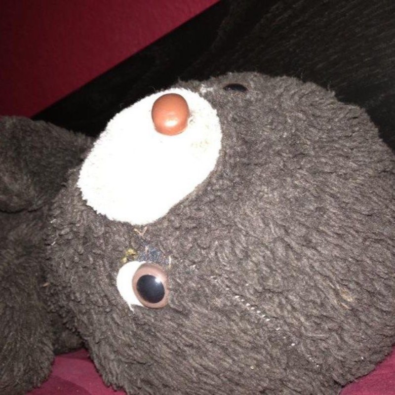 Mark Ryan (@mark-iversen) | Snapchat Stories, Spotlight & Lenses