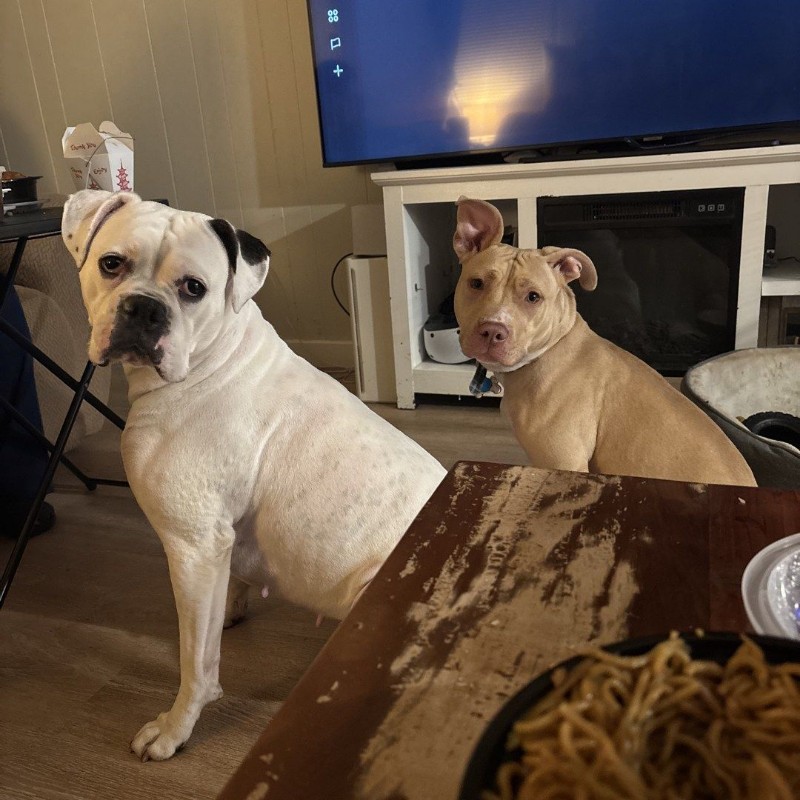 Mason (@mason-flanders) | Snapchat Stories, Spotlight & Lenses