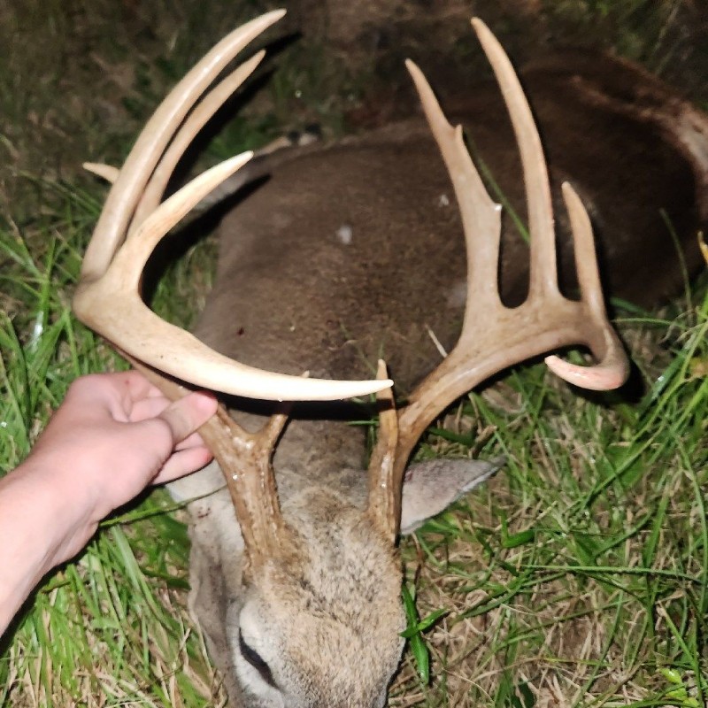 𝓜𝓪𝓼𝓸𝓷🪶 (@mason20258918) | Snapchat Stories, Spotlight & Lenses