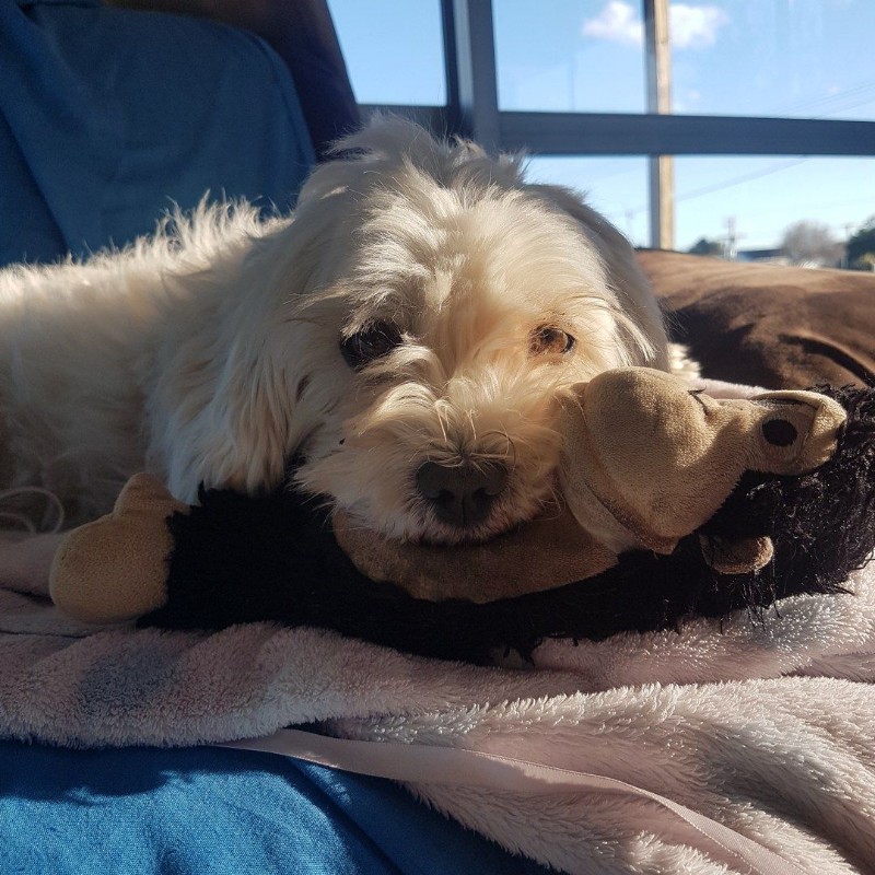 Mason ツ (@mason41422) | Snapchat Stories, Spotlight & Lenses