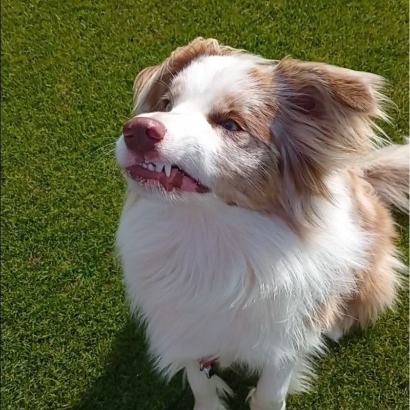 🍥🍡mathilda🍓🍄🙈 (@mathildalov2024) | Snapchat Stories, Spotlight & Lenses