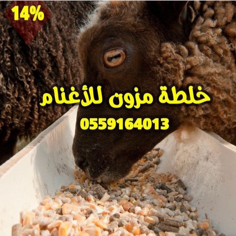 مزون للأعلاف MAZOON FEEDS (@mazoon_feeds) | Snapchat Stories, Spotlight ...