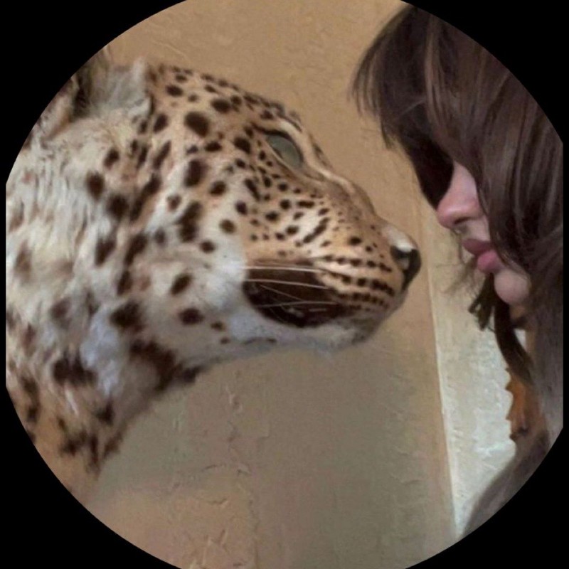 ﮼م🐆 (@me-199a) | Snapchat Stories, Spotlight & Lenses