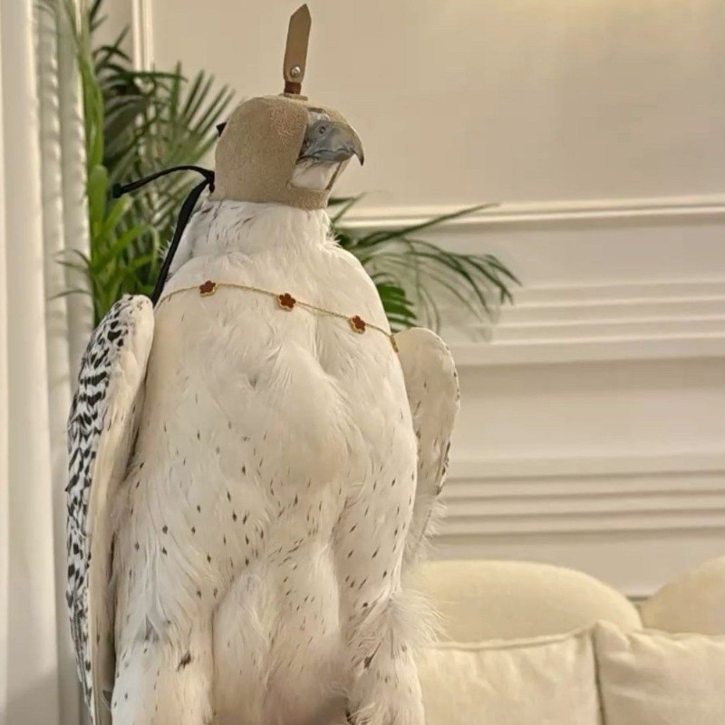 Mar Mk 𓃠 (@meaow_18) | Snapchat Stories, Spotlight & Lenses