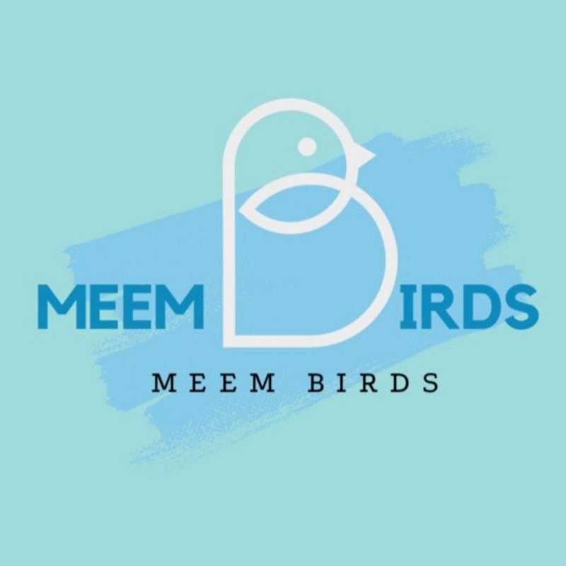 Meem Birds 🦜 (@meem.ko1) | Snapchat Stories, Spotlight & Lenses