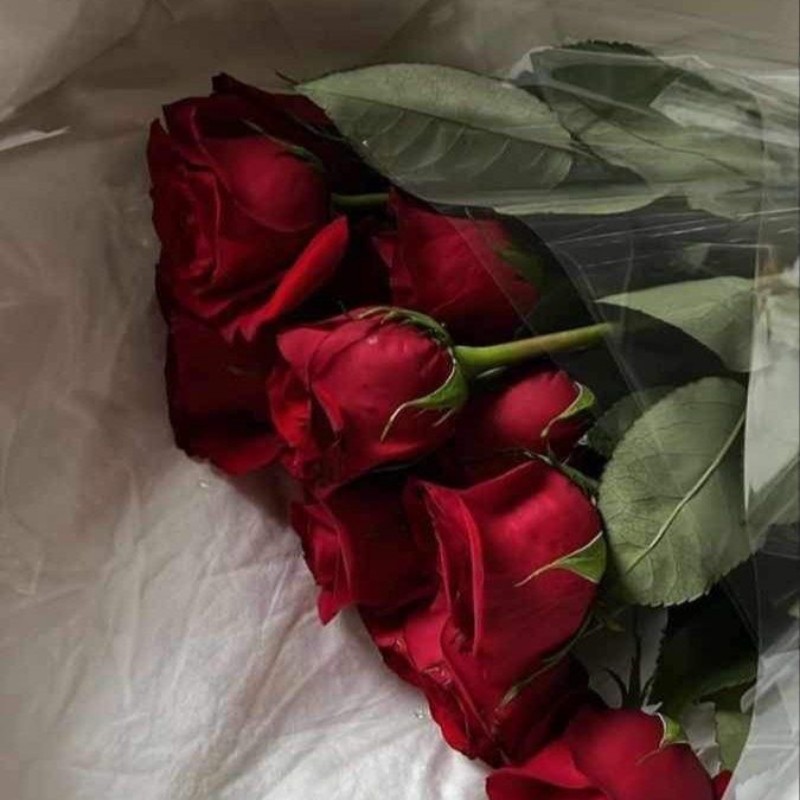 Melek🖤 Mofak (@melekmofakk) | Snapchat Stories, Spotlight & Lenses