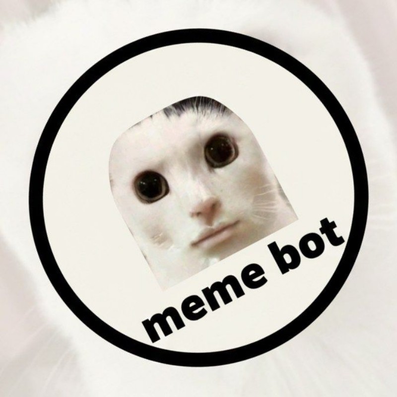 Meme Bot (@memebot6767) | Snapchat Stories, Spotlight & Lenses