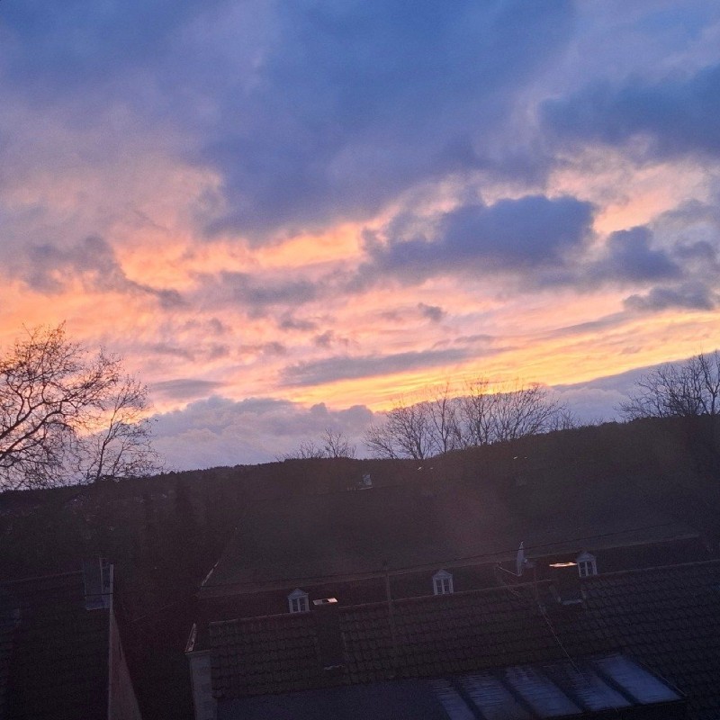 Michelle Ruttenstock (@michelle_rutten) | Snapchat Stories, Spotlight ...