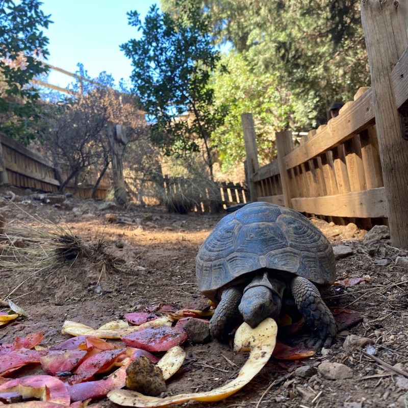 Mike (@mikemikesmit) | Snapchat Stories, Spotlight & Lenses