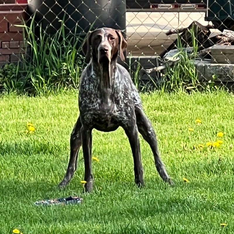 Mike Addington(@mikeyinthenike) | เรื่องราว Snapchat ตลอดจน Spotlight ...