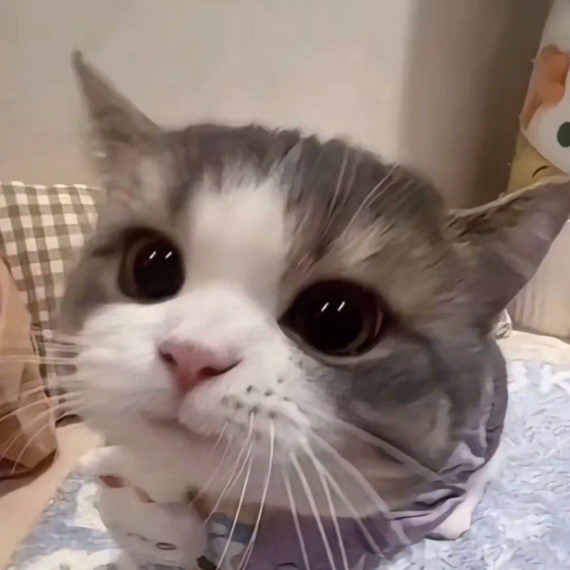 Mina C (@mina_csy27) | Snapchat Stories, Spotlight & Lenses