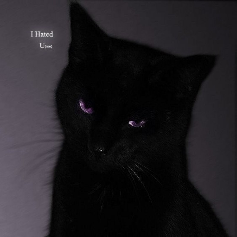 LaDY 🦋 BOss ♾️ (@misslaila2004) | Snapchat Stories, Spotlight & Lenses