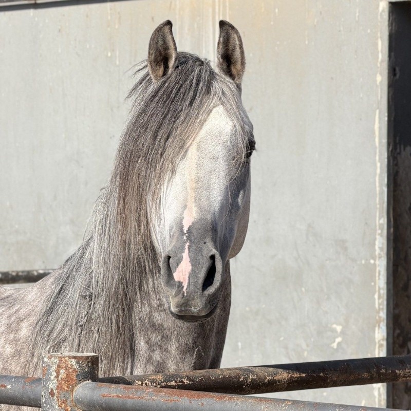 Moghrabi 90 (@moghrabi-muhra) | Snapchat Stories, Spotlight & Lenses