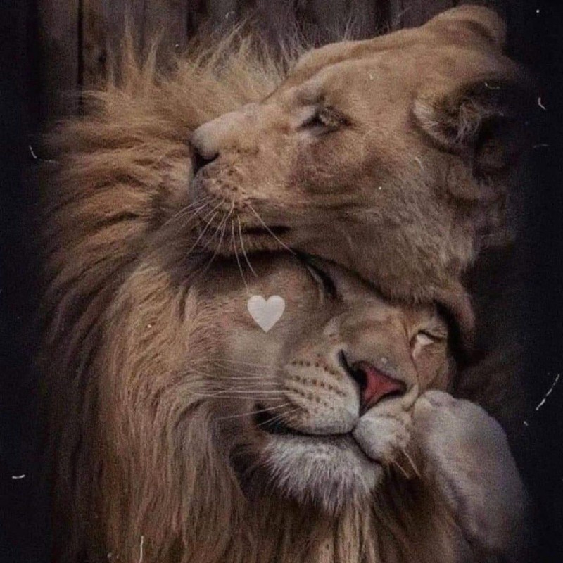 🦋 𝓑𝓡𝓐𝓩𝓘𝓛𝓘𝓨𝓐🦋 (@mohra-369) | Snapchat Stories, Spotlight & Lenses