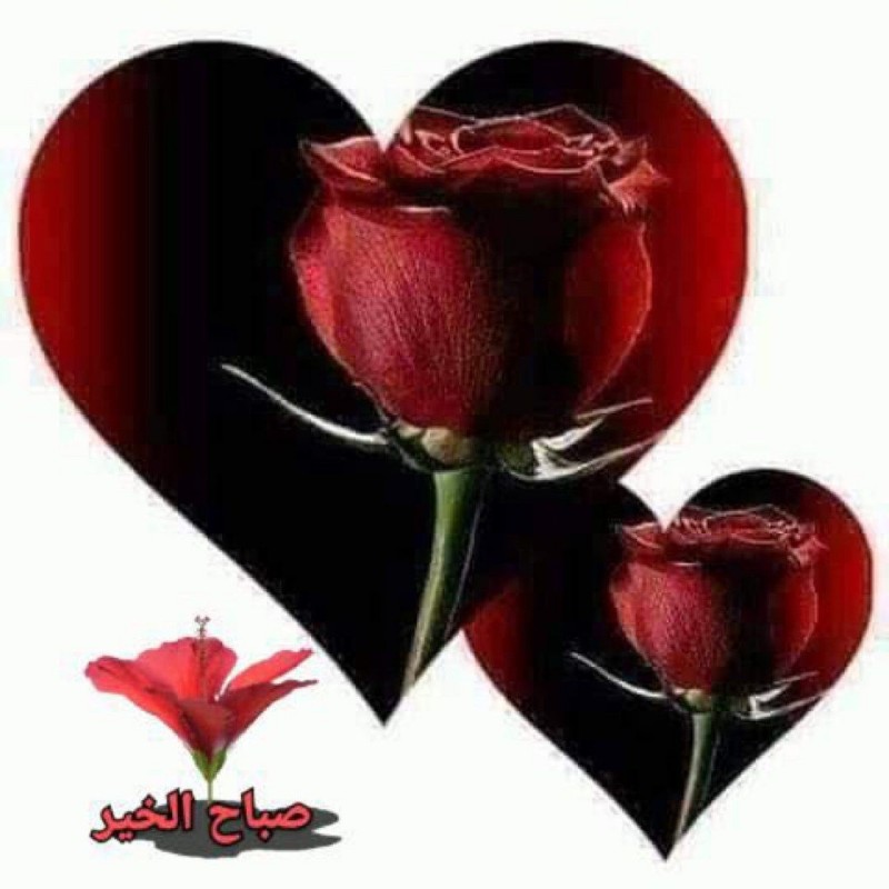 موني (باريس نجد ) (@moni_66a) | Snapchat Stories, Spotlight & Lenses