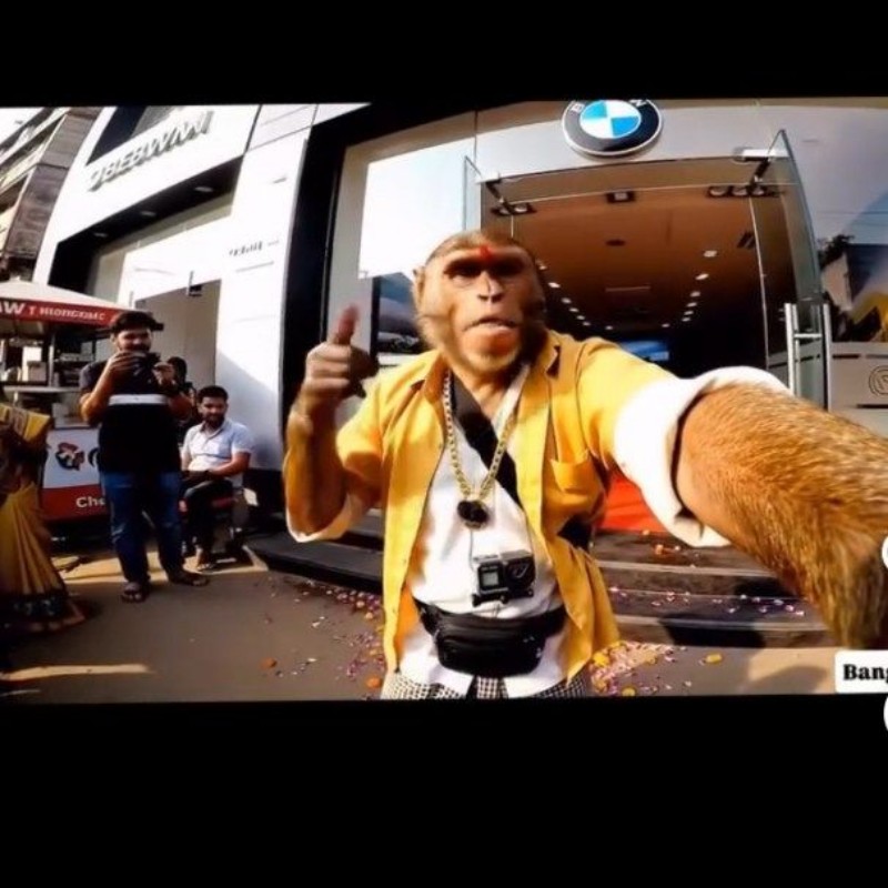 Monkey Vlogging Video (@monkey.vlogging) | Snapchat Stories, Spotlight ...
