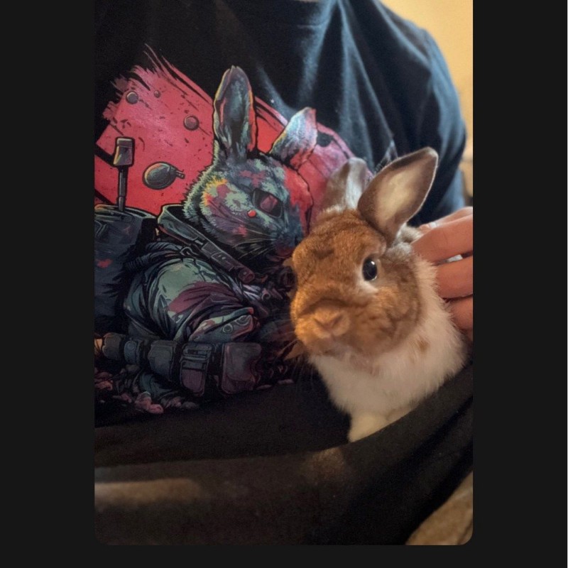 Tattoos & Waves (@montreal_tattoo) | Snapchat Stories, Spotlight & Lenses