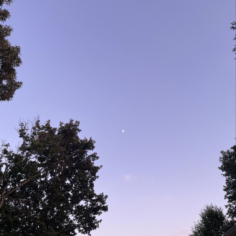 Allison (@moon_light8765) | Snapchat Stories, Spotlight & Lenses