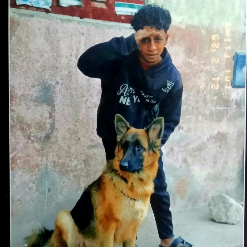 Mostfa Yasser (@mostfa_y2024) | Snapchat Stories, Spotlight & Lenses