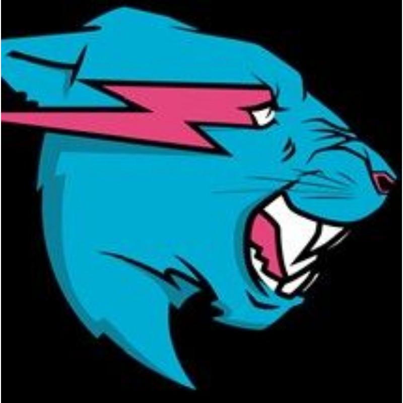 Mr Beast (@mrbeasttekm) | Snapchat Stories, Spotlight & Lenses