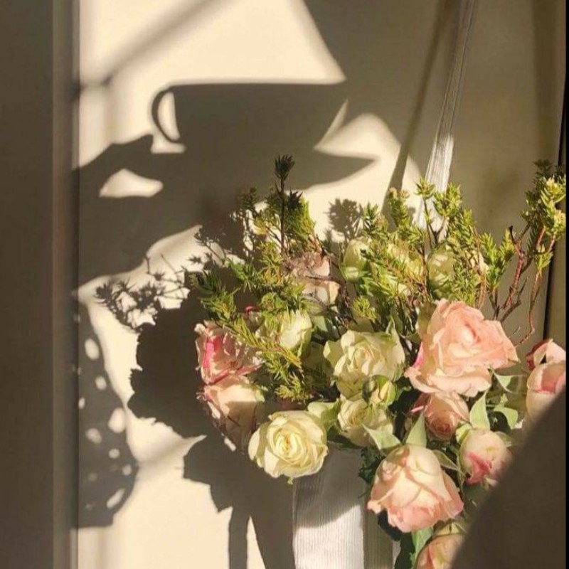 MRM (@mrm-ii) | Snapchat Stories, Spotlight & Lenses