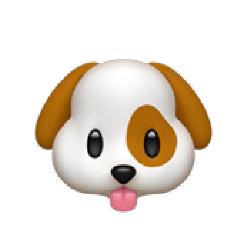 Mr Mann (@mrmanfromnorth) | Snapchat Stories, Spotlight & Lenses