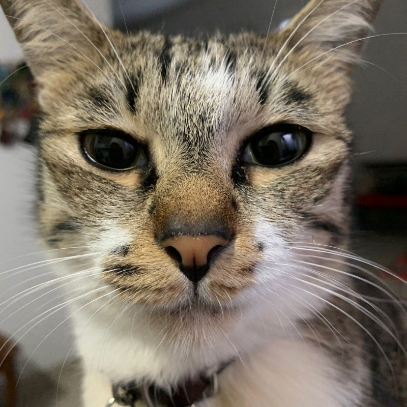 mulky (@mulky.kautsar) | Snapchat Stories, Spotlight & Lenses