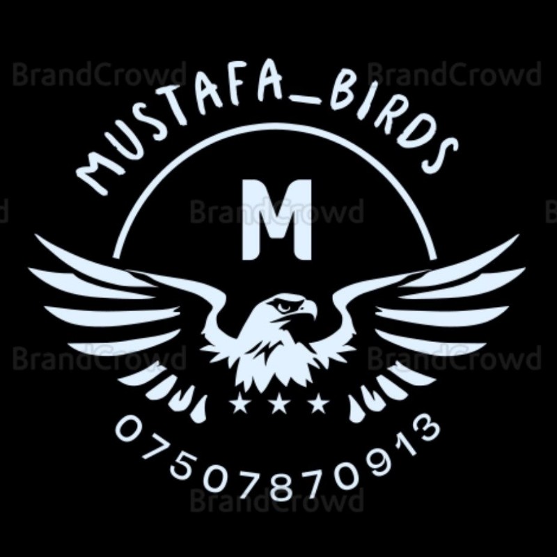 Mustafa_birds🕊️🦜 (@mustafa_birds) | Snapchat Stories, Spotlight & Lenses