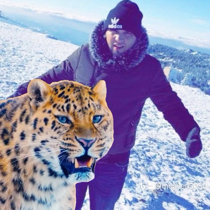 Moayed (@mwyd_sdllh) | Snapchat Stories, Spotlight & Lenses