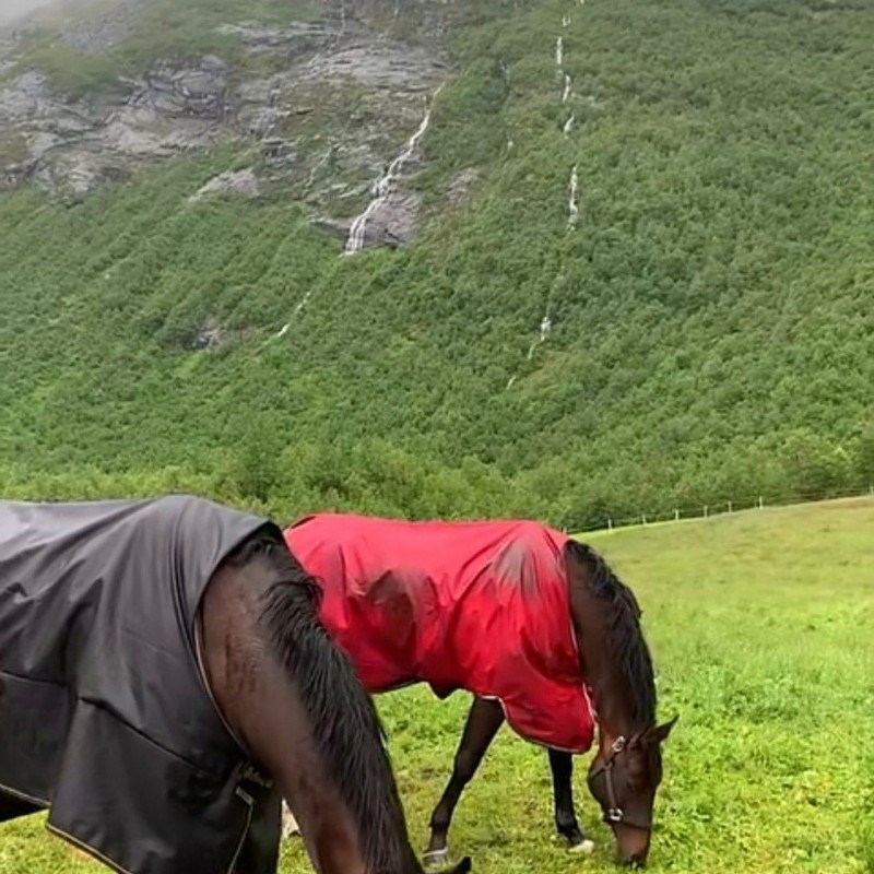 NAGD ADBE⭐️ (@nagd-adbe) | Snapchat Stories, Spotlight & Lenses