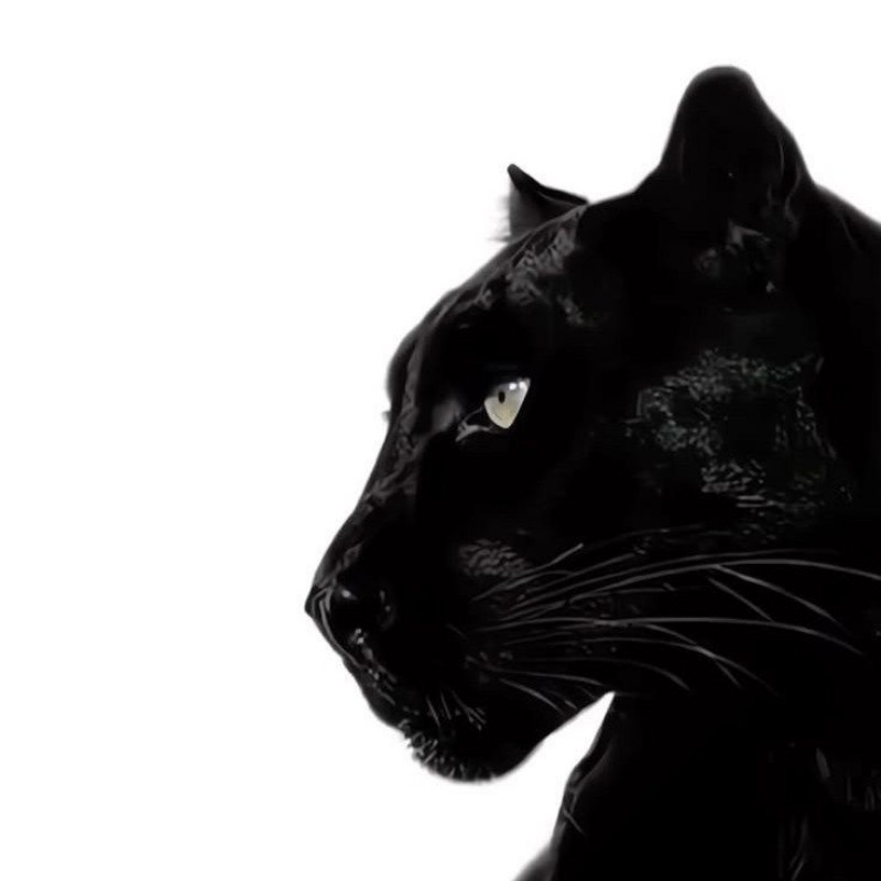 ₐ𝘴ᗰₐ𝚗💋 (@naz_asman) | Snapchat Stories, Spotlight & Lenses