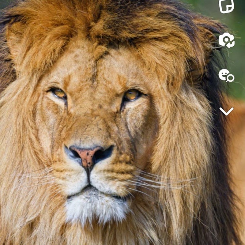 lina_online💣 (@naz_online88) | Snapchat Stories, Spotlight & Lenses