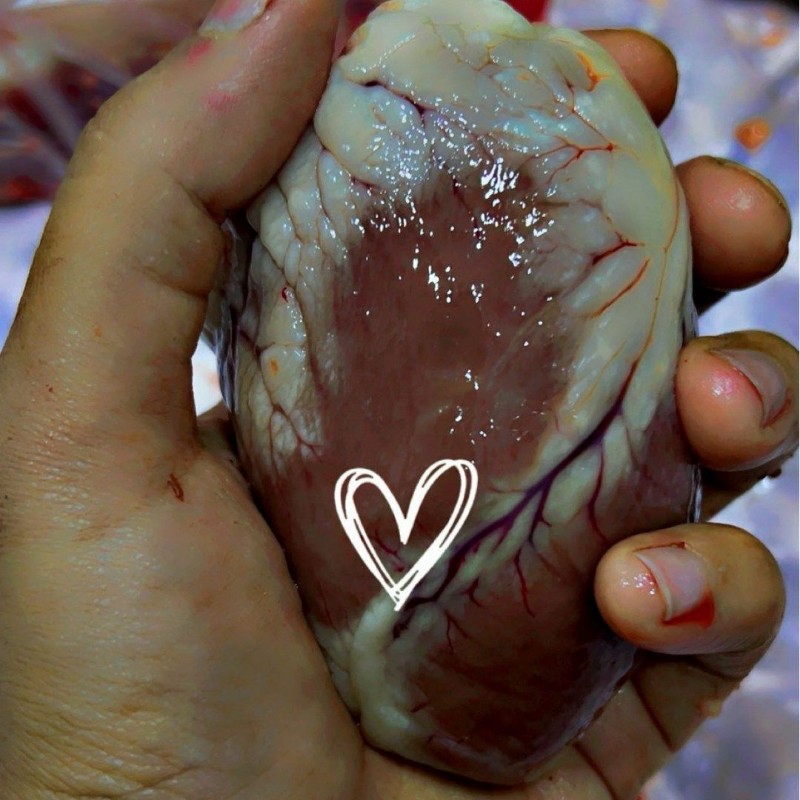 🦋𝒩𝒜𝒵 🦋 (@nazo_jaf) | Snapchat Stories, Spotlight & Lenses