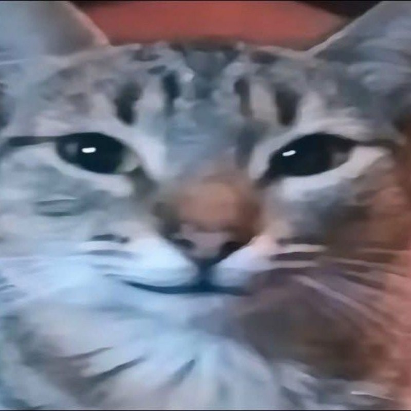 Jake (@nbk_jake) | Snapchat Stories, Spotlight & Lenses