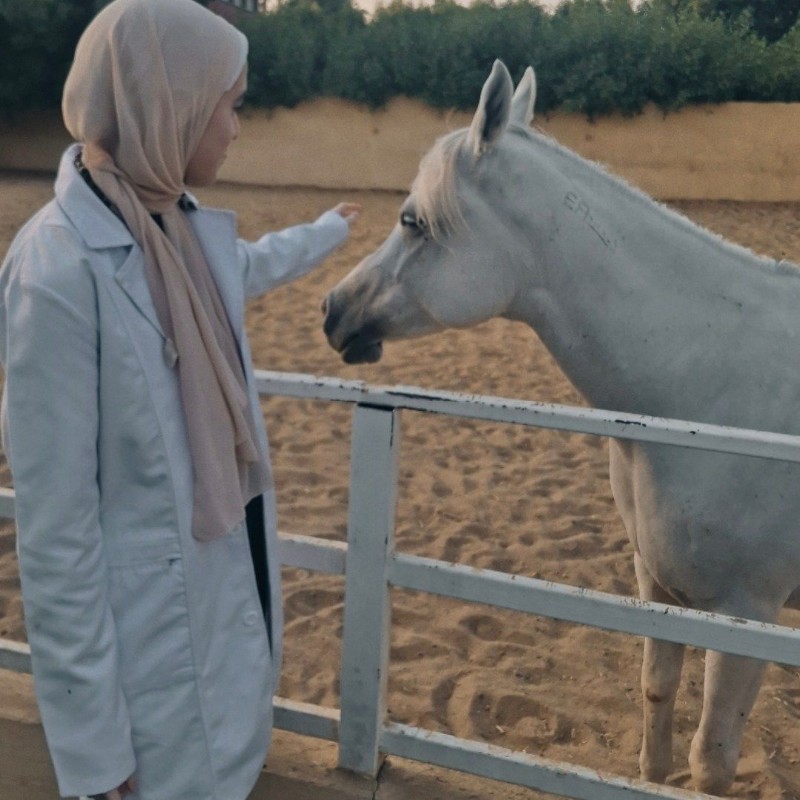 Asmaa Muhammad 🤍👻 (@ndian_24) | Snapchat Stories, Spotlight & Lenses