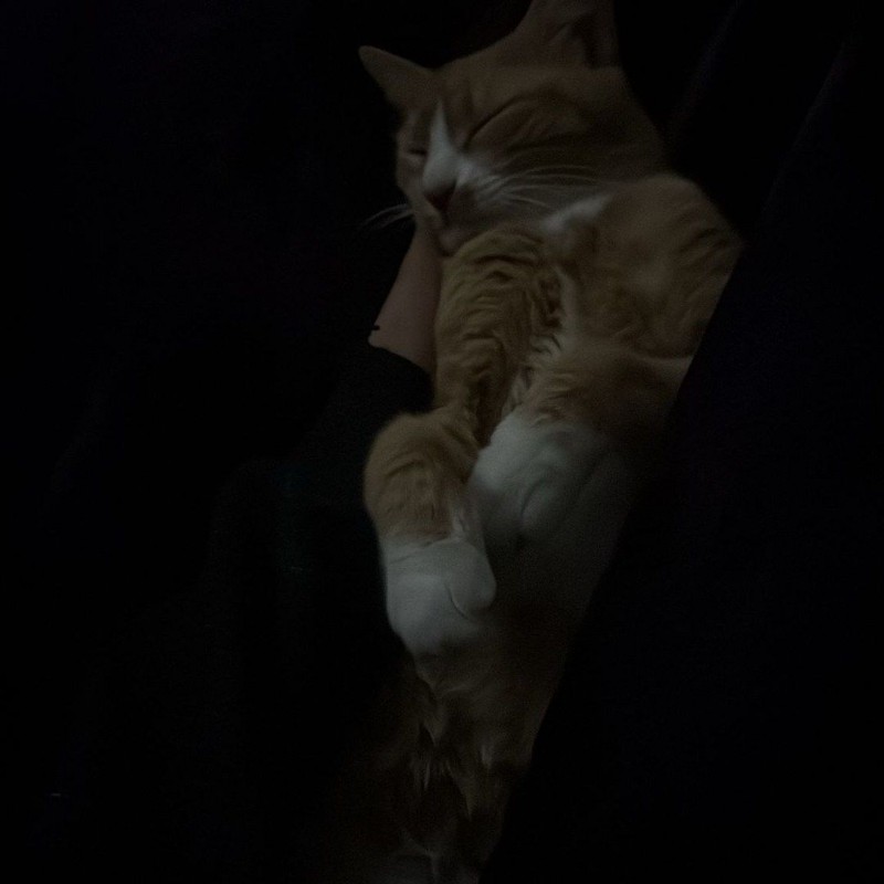 نَ (@nemo4_0) | Snapchat Stories, Spotlight & Lenses