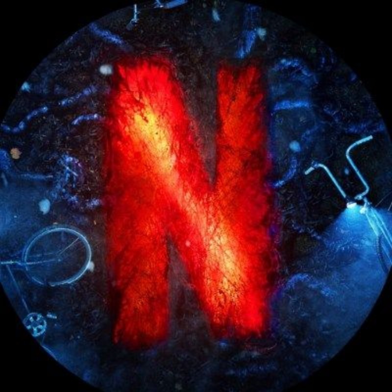 Netflix (@netflix) | Snapchat Stories, Spotlight & Lenses