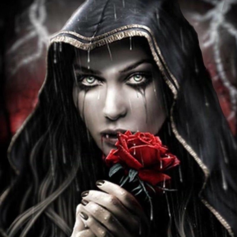 NF 🇵🇷🇵🇷 (@nfmylife) | Snapchat Stories, Spotlight & Lenses