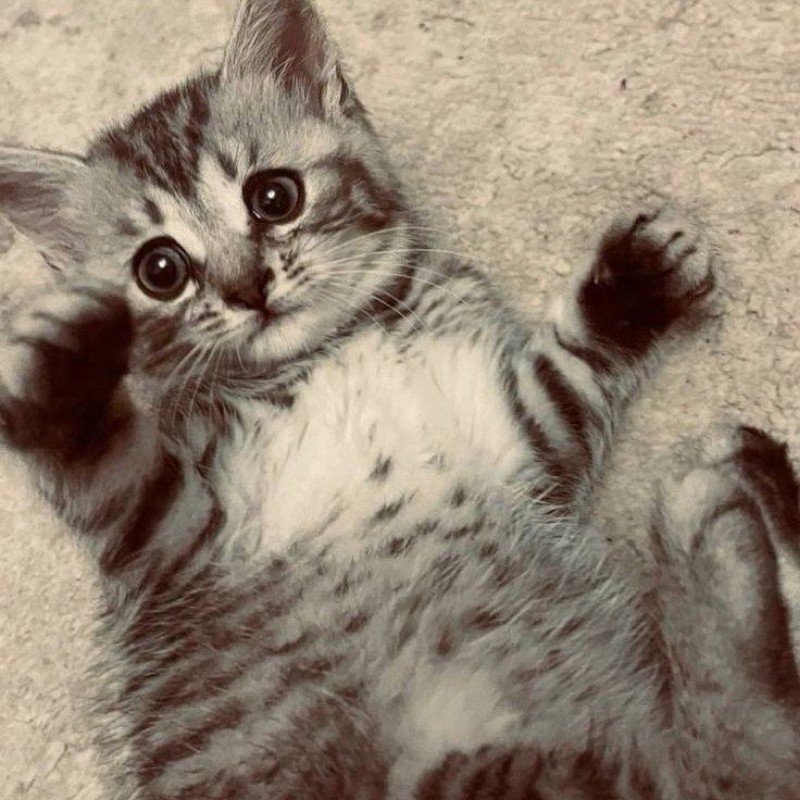 🎀Love friends🎀 (@nika20254268) | Snapchat Stories, Spotlight & Lenses