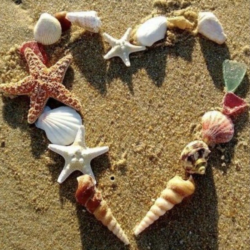 ~Nikisek🖤🎀 (@nikisek20251) | Snapchat Stories, Spotlight & Lenses