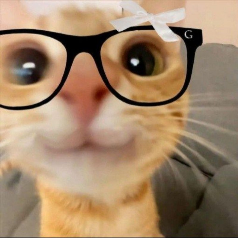 Meoww.....🐾 (@nikkk_4u) | Snapchat Stories, Spotlight & Lenses