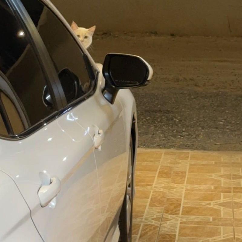 🐆 ᴹ ˗ (@nm-gl) | Snapchat Stories, Spotlight & Lenses